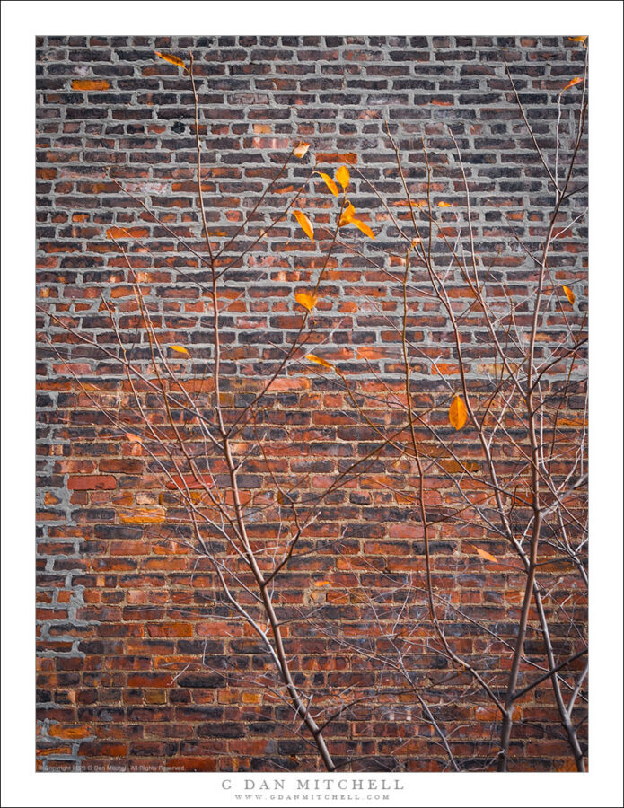 Autumn Leaves, Brick Wall #2 | G Dan Mitchell Photography