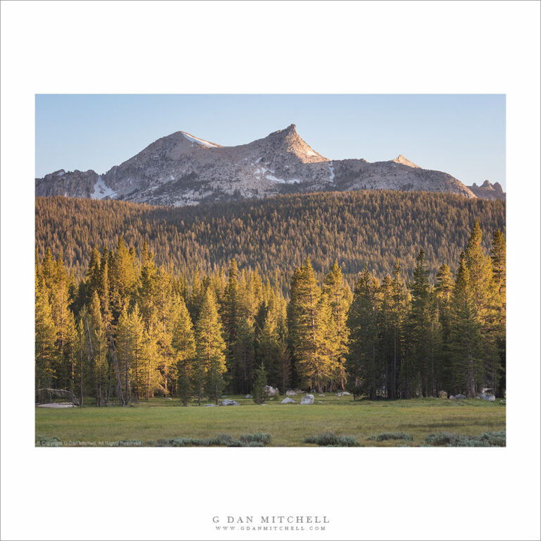 Forest, Meadow, and Ridge | G Dan Mitchell Photography