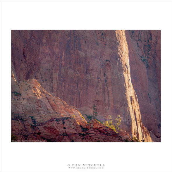 Red Cliffs and Trees | G Dan Mitchell Photography