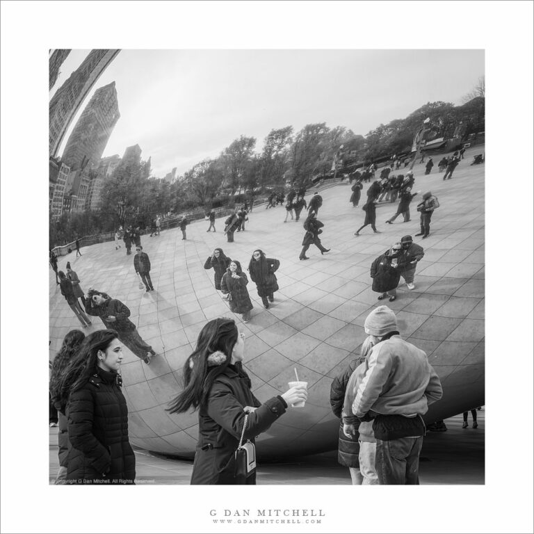 Bean People | G Dan Mitchell Photography