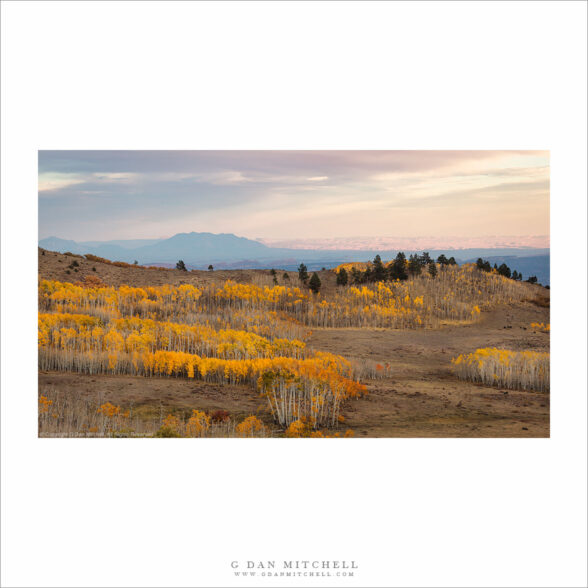 Boulder Mountain Aspens, Evening | G Dan Mitchell Photography