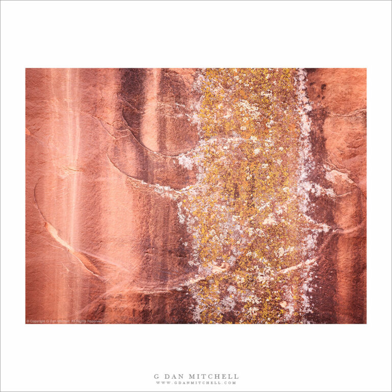 Stained Sandstone, Lichen | G Dan Mitchell Photography